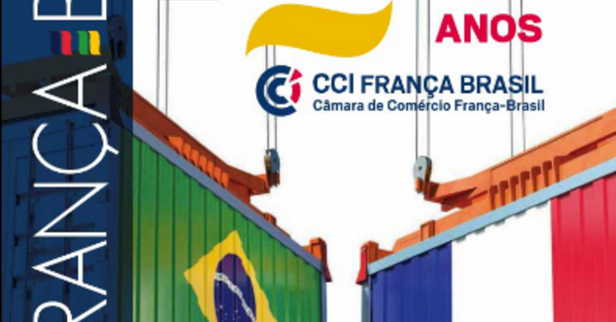 Publicações - Revista França-Brasil - 2° semestre 2020 | Câmara de ...